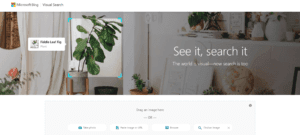 How to Do a Video Search by Video: A Comprehensive Guide