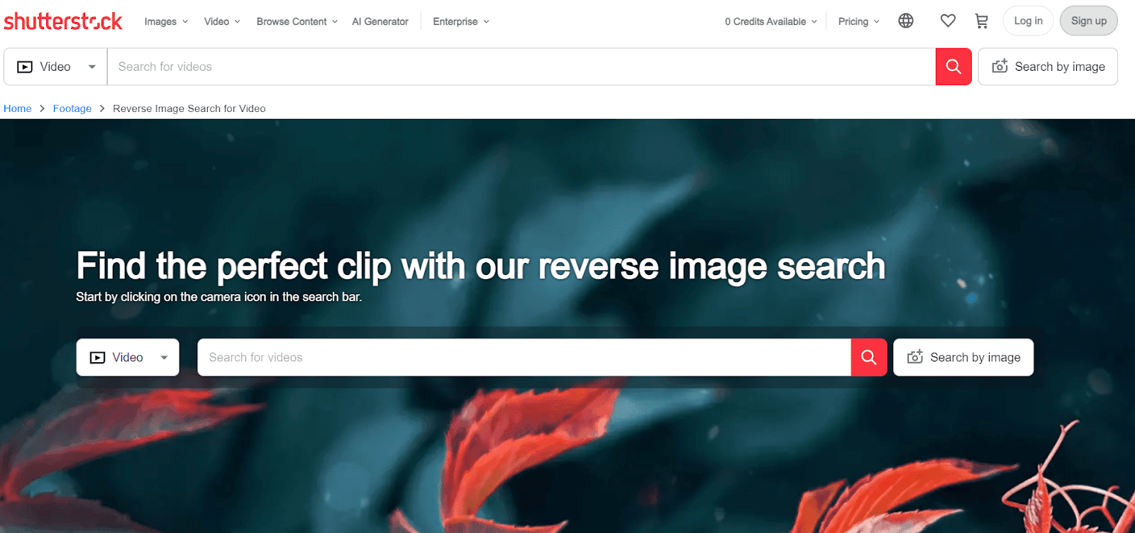 How to Do a Video Search by Video: A Comprehensive Guide